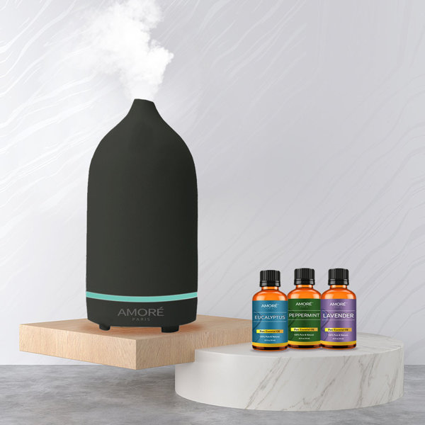 Amore Paris Ultrasonic Aromatherapy Essential Oil Diffuser - Wayfair Canada